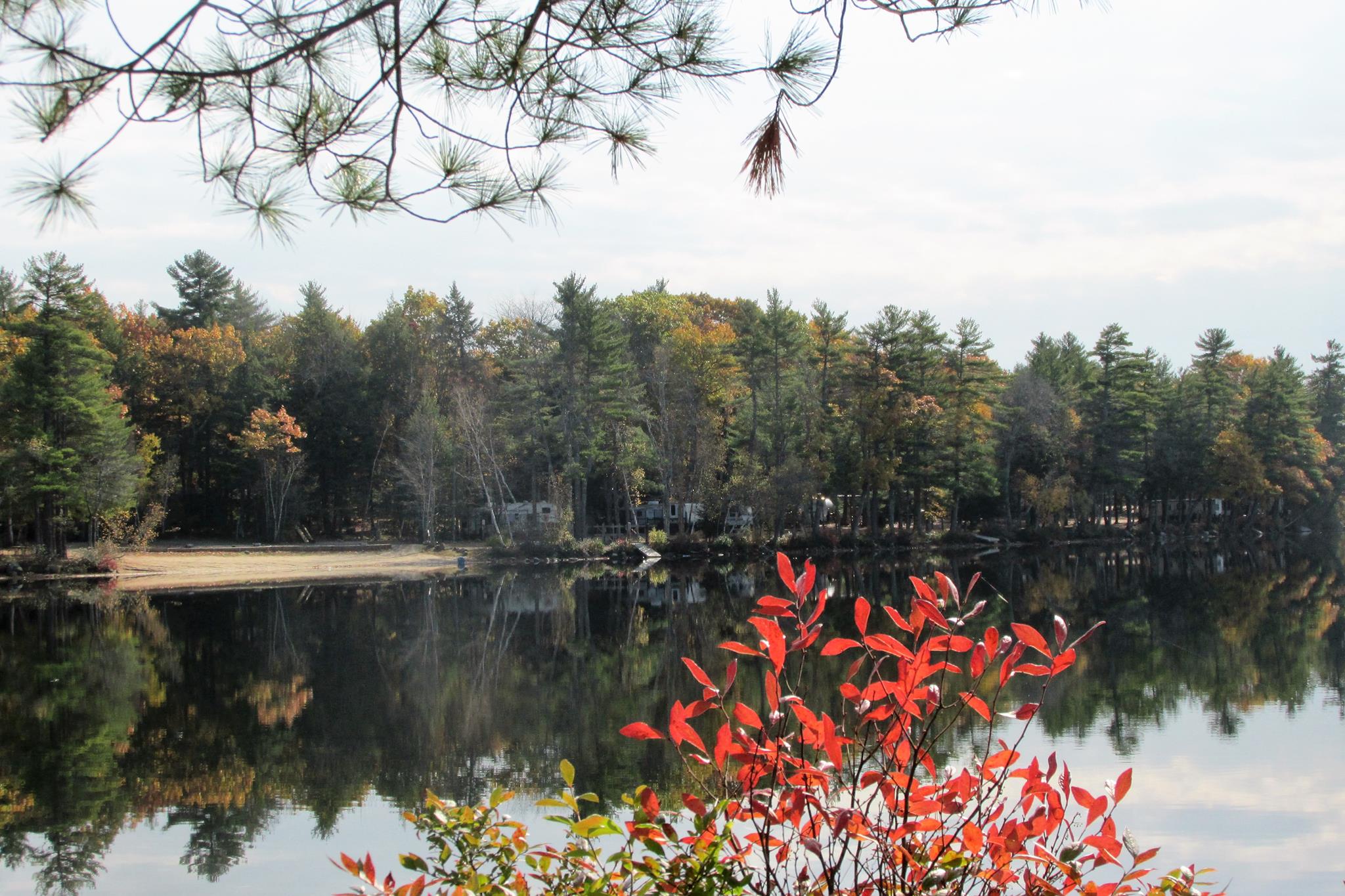 Loon's Haven Family Campground in Naples, Maine - Home